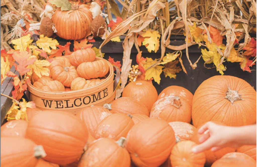 South Florida Fall Events 2019 - Fuse Travels